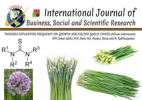 Thiourea Application Frequency On Growth And Yield Of Garlic Chives Allium Tuberosum