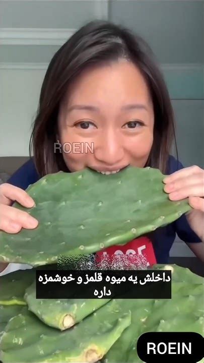 اگر کاکتوس بخورید این اتفاق ها براتون میفته Youtube