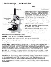 BIO LAB Parts And Functions Of A Microscope Pdf TheMicroscope Course Hero