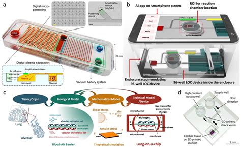 Lab On A Chip And Organ On A Chip Devices A Integrated Microfluidic