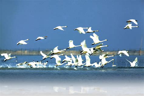鄱阳湖图册 360百科