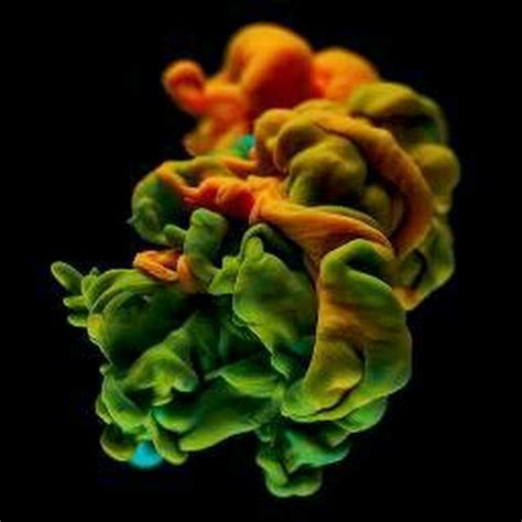 Zachariah Abraham Youtube