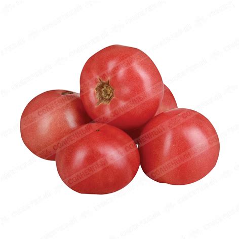 Помидоры Розовые — купить с доставкой на дом в интернет магазине Солнечный