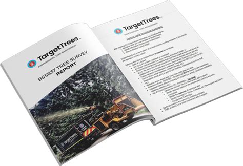 What Is A BS Tree Surveys Tree Report Target Trees
