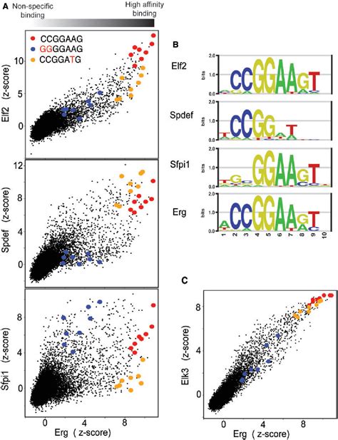 Figure 1 From Using Protein Binding Microarrays To Study Transcription