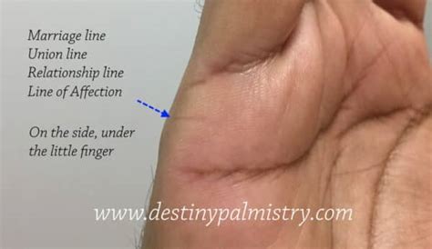 Palmistry Guide And Meanings Of The Lines Destiny Palmistry