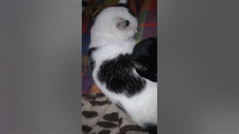 Семья отдыхает Youtube