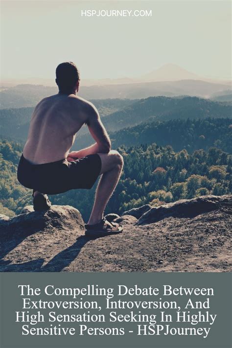 The Compelling Debate Between Extroversion Introversion And High Sensation Seeking In Highly