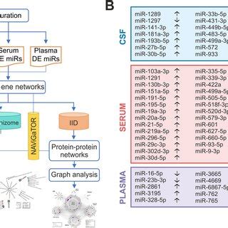 Design Of The Study Pipeline Of The Bioinformatic Analysis A Download Scientific Diagram