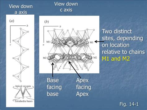 Ppt Inosilicates Chain Powerpoint Presentation Free Download Id 6652064