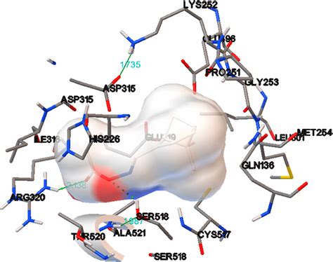 Binding Mode And The Binding Site Interaction For The Best Herbicidal Download Scientific