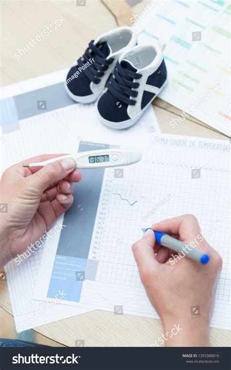 Woman Creating Temperature Chart Identify Day Stock Photo 1393388816 Shutterstock