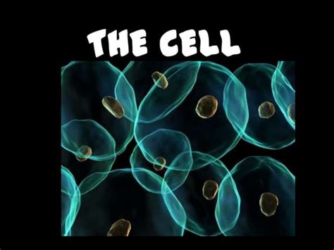 Biology Cells Grade 7 Pptx