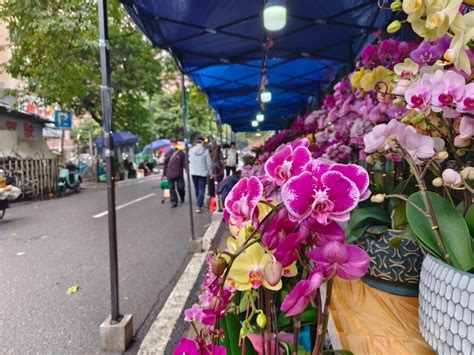 东山街社区花市开张了
