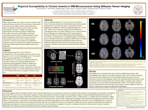 Pdf Regional Susceptibility To Chronic Anemia In Wm Microstructure Using Diffusion Tensor