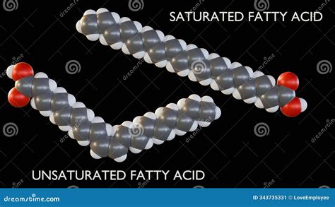 Saturated And Unsaturated Fatty Acids Triglyceride Triacylglycerol