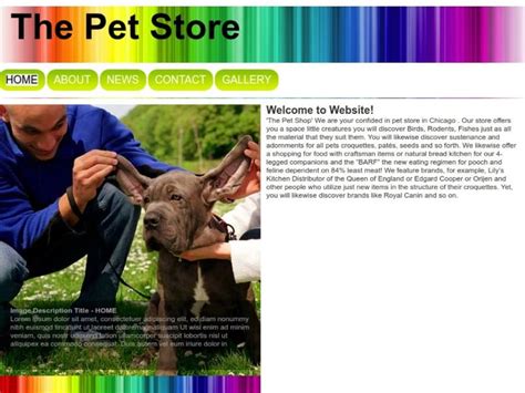 Simple Static Web Application Ready To Deploy And Use Using Python Django Upwork