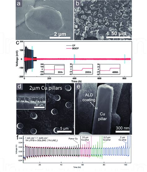 Sem Images After Plating Of Lithium Metal At 0 5 Mah Cm 2 A And Download Scientific Diagram