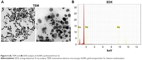 Synthesis Of Gold Nanoparticles With Solanum Xanthocarpum Extract And Ijn