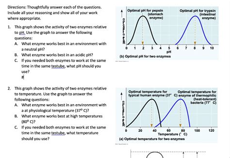 What Is The Ph Value At Which Trypsin Works Best