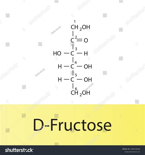 Straight Chain Form Chemical Structure D Fructose Stock Vector Royalty Free 2284736185