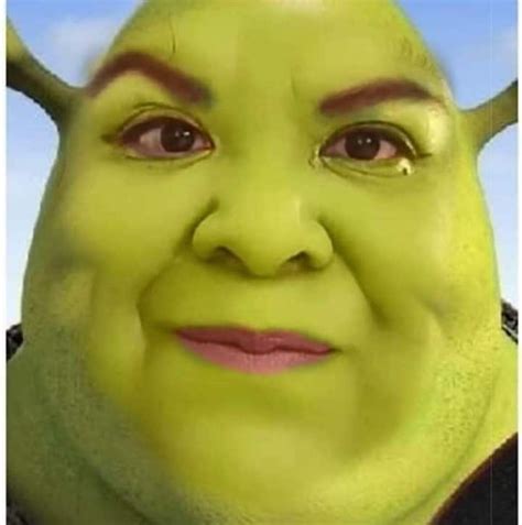 Fotos De Perfil Memes Lista 98 Foto Imagenes Graciosas Para Foto De