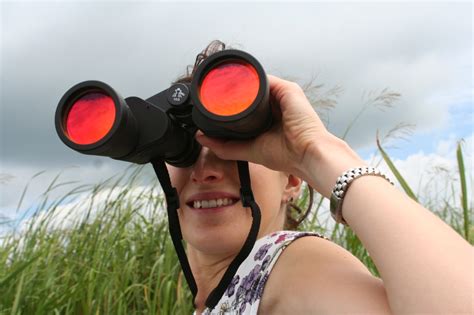 Osint Cheat Sheet Urban Security Research