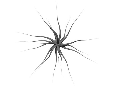 Neuron 3d Model