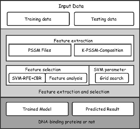 Overall Framework Of The Proposed Method For Predicting Dna Binding Download Scientific Diagram