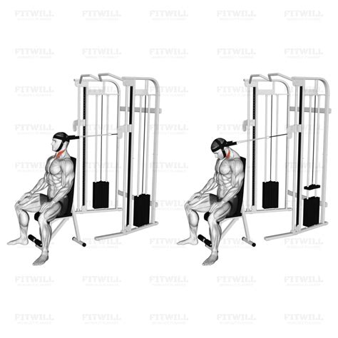 Cable Seated Neck Flexion With Head Harness Exercise Guide Video