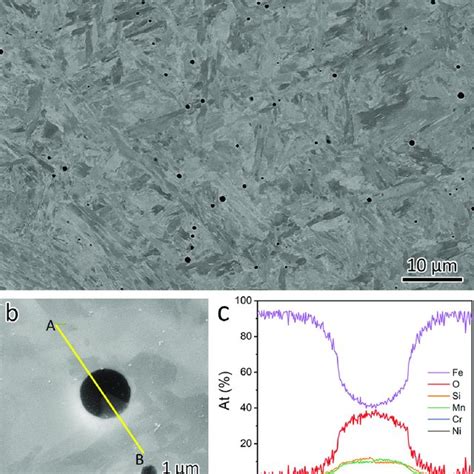 A Sem Bse Image Showing The Distribution Of Oxide Particles In A Download Scientific Diagram