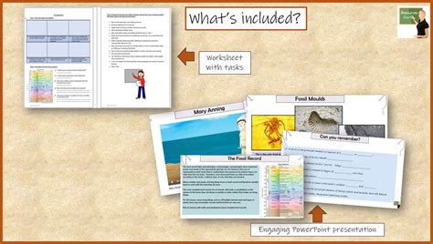 Year 6 Fossils Lesson Plan At Candida Weekley Blog