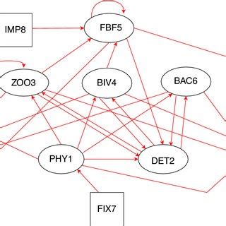 The 5 Species Model Ecosystem Described In Sect 2 Download Scientific Diagram