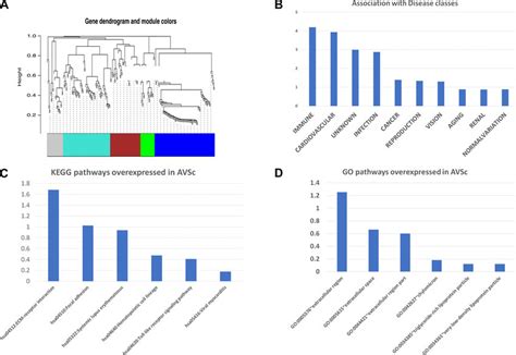 Gene Module Organization A Weighted Correlation Network Analysis Download Scientific Diagram
