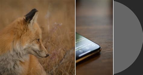 List Web Scraping Via Api Curated By Phil Young Medium