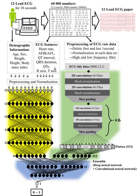 Deep Learningbased Algorithm For Detecting Aortic Stenosis Using Electrocardiography Pmc