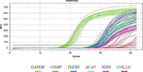 Amplification Plot Showing Pcr Profiles Download Scientific Diagram
