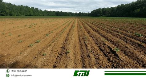 Environmental Applications Of Lime In Soil Stabilization CMI Company