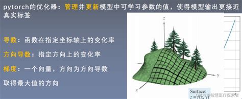 Pytorch优化器详解pytorch 优化器 Csdn博客