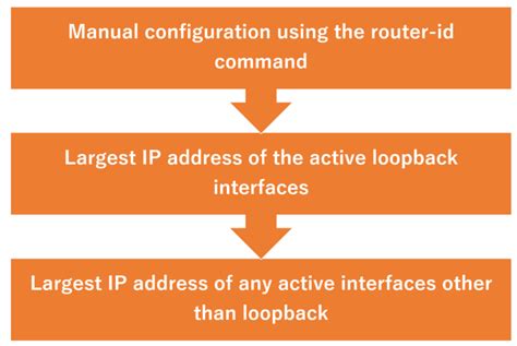 Ospf Router Id Identify Ospf Routers How The Ospf Works N Study