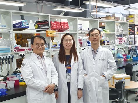새 장소에서 재발하는 트라우마 막는법 찾아뇌연구원 Ptsd 치료 기대