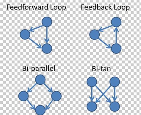Feed Forward Control System Feedback Network Motif Control Theory Png Clipart Angle Area