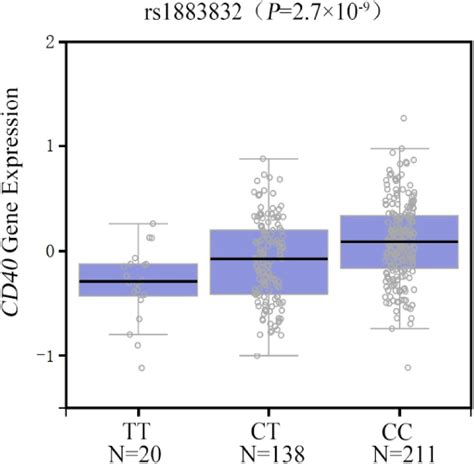 Expression Quantitative Trait Loci Eqtl Analysis Of Rs1883832 With Download Scientific