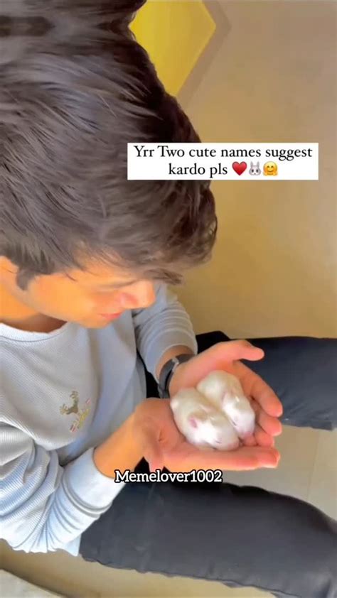 • Instagram Photos And Videos