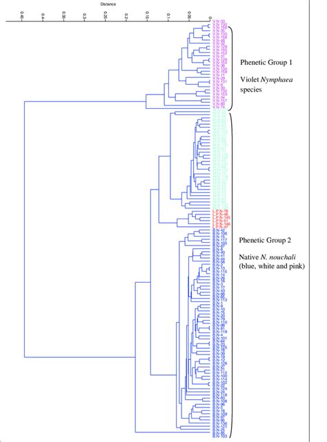 The Dendrogram That Resulted From The Cluster Analysis That Was Carried Download Scientific