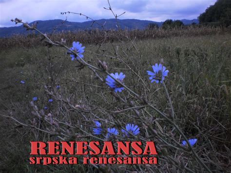 Михаил ДИНКИН 1966 СУЗ