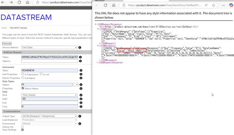 Data Does Not Return Datatype Name While Return Name Is Checked — Lseg Developer Community