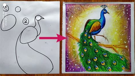Top 999 Simple Peacock Drawing Images Amazing Collection Simple Peacock Drawing Images Full 4k