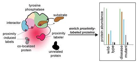 Research The Shah Lab