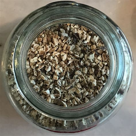 Burdock Root Exist Green